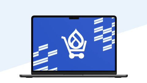 101 Guide to Ecommerce Website Development | Lemberg Solutions